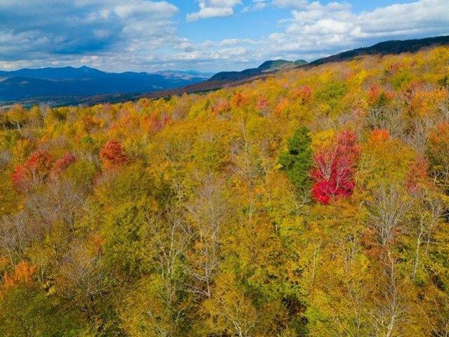 land Warren VT DS104331588