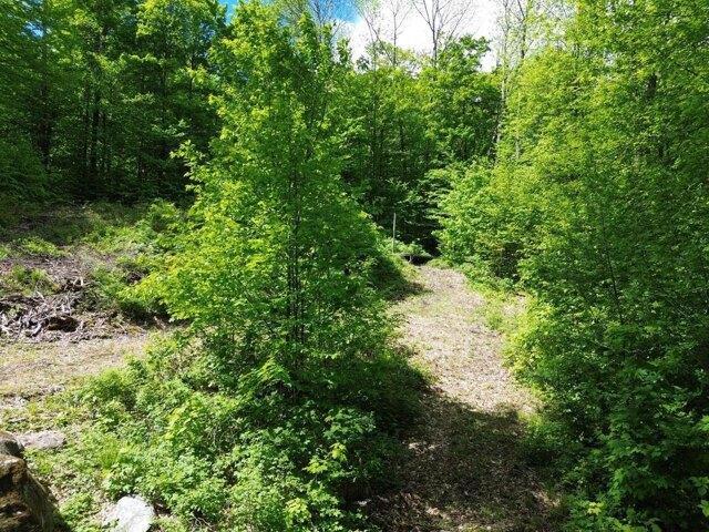 land Warren VT ES103432624