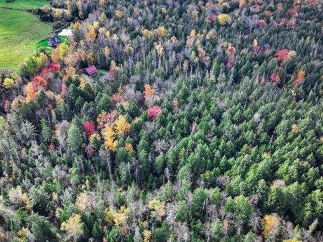land Warren VT ES104810133