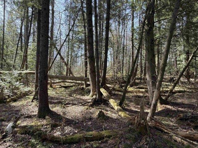 land Warren VT ES104833885