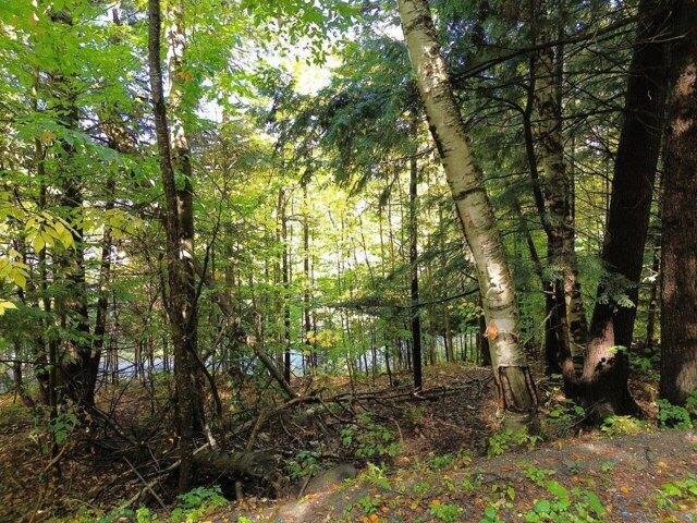 land Warren VT ES105105031