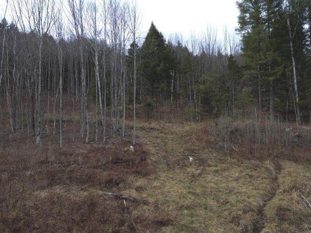 land Warren VT ES105105982