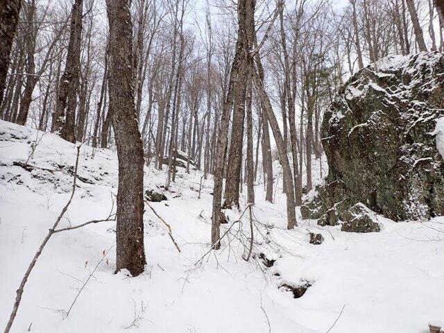 land Warren VT ES105114001