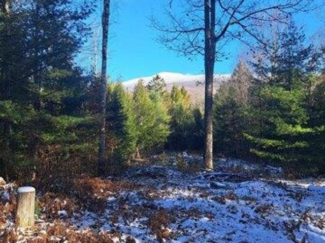 land Warren NH DLS101705288