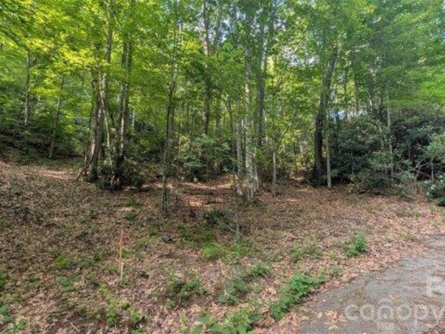 land Waynesville NC ES104900129