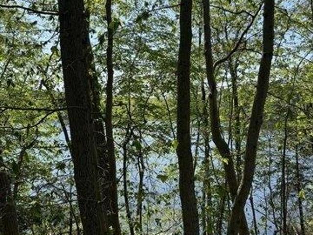 land Wayland MA DS103222542
