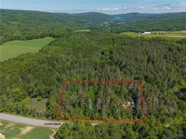 land Wayland NY ES103621837