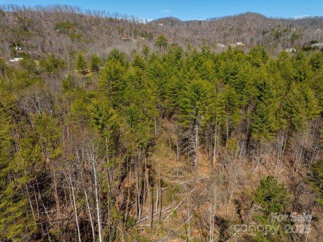 land Weaverville NC ES104909410