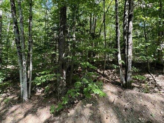 land Webster NH DLS102634240
