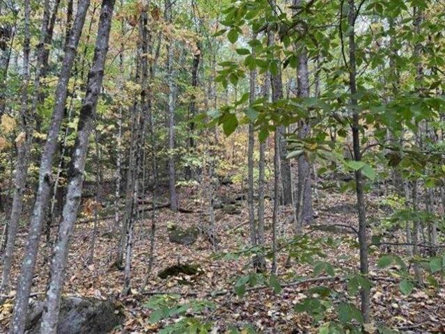 land Webster NH ES103436922