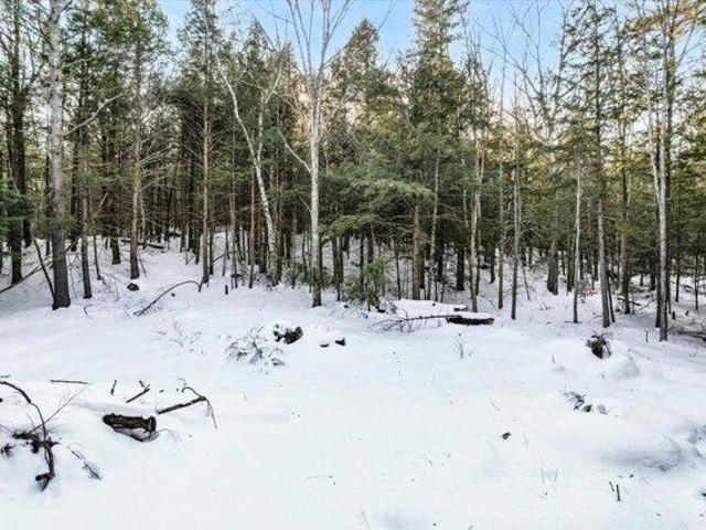 land Webster NH ES104411267