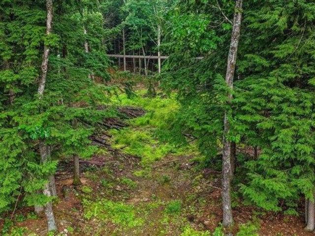 land Webster NH ES105096268