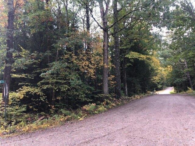 land Webster NH ES105113155