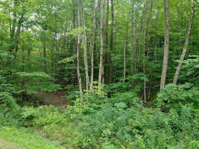 land Webster NH ES105230833