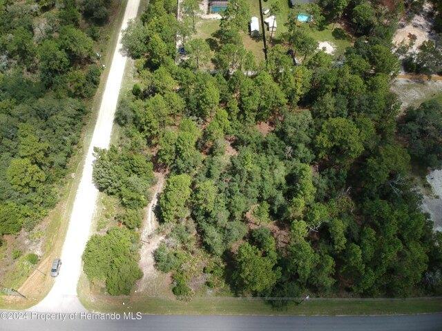 land Weeki Wachee FL DS88863883