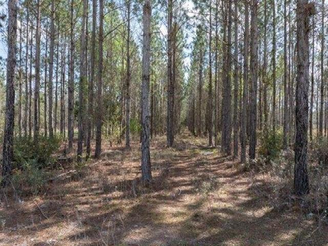 land Wellborn FL ES104898837