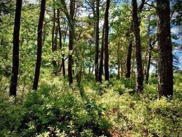 land Wellfleet MA ES104789787