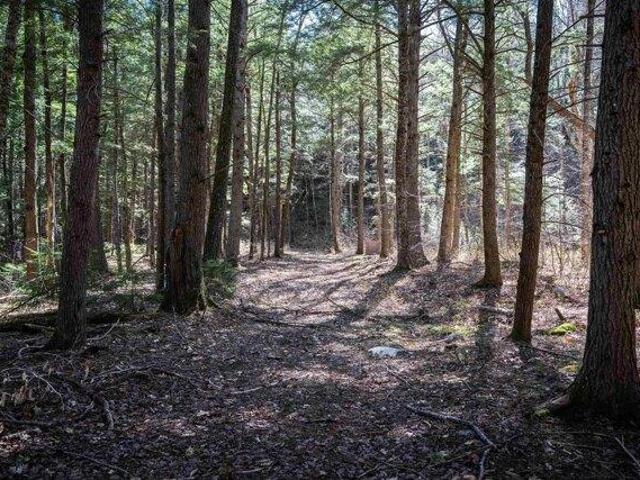 land Wentworth NH ES103019351