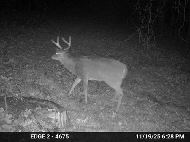 land West Decatur PA ES104905200