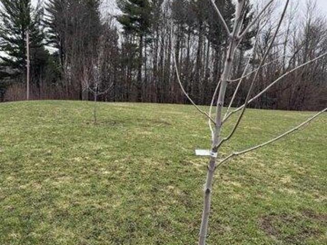 land Westfield VT DS102593607
