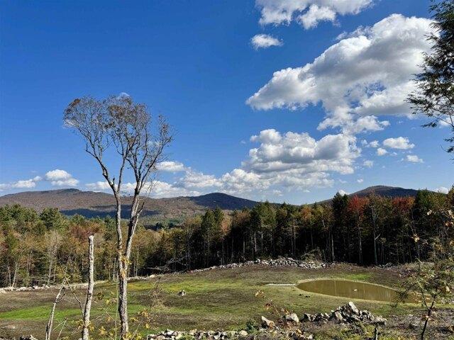 land Weston VT DLS101899401