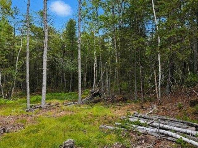 land Westport Island ME ES104407451