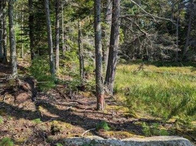 land Westport Island ME ES105107014