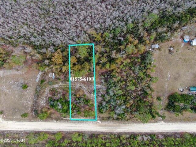 land Wewahitchka FL DLS89417552