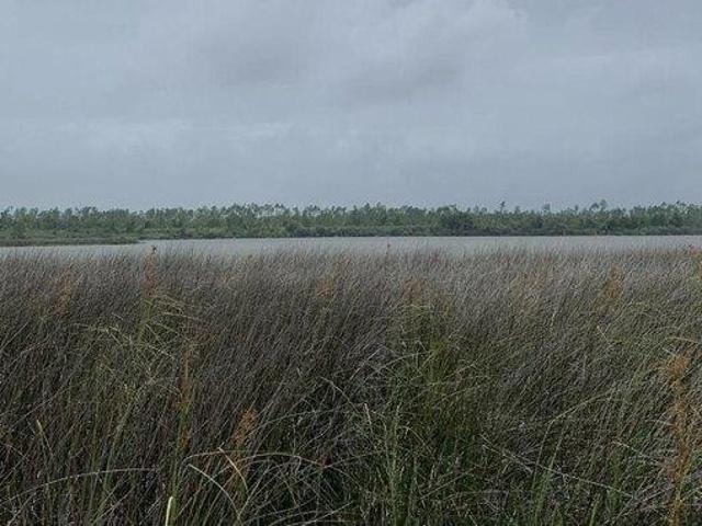 land Wewahitchka FL DLS91836237