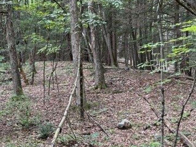 land Whately MA DLS102409498