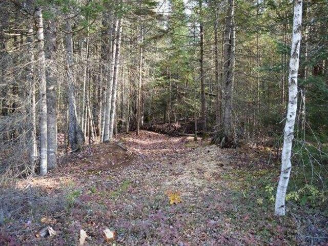 land Whitefield NH DLS101747644