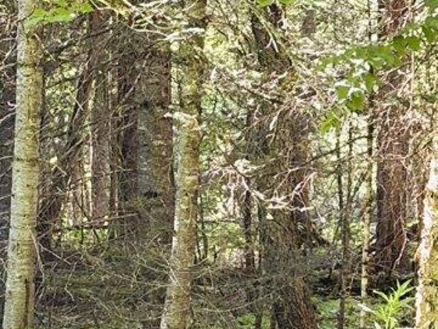 land Whitefield NH ES105123313