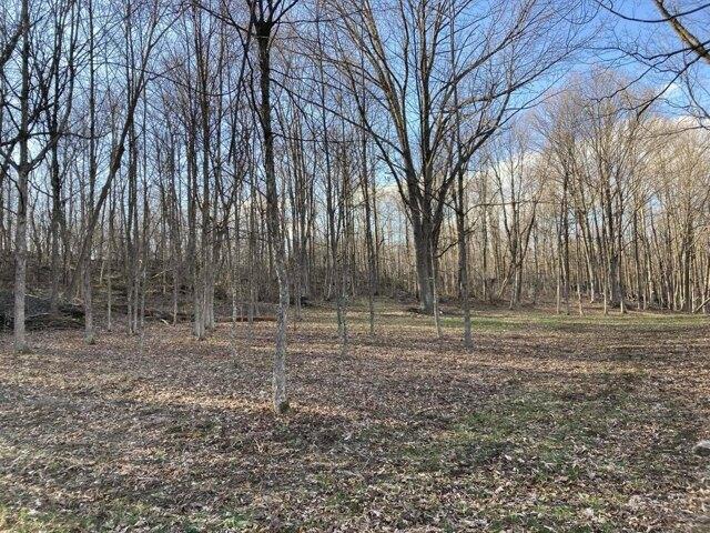 land Whiting VT DS101799225