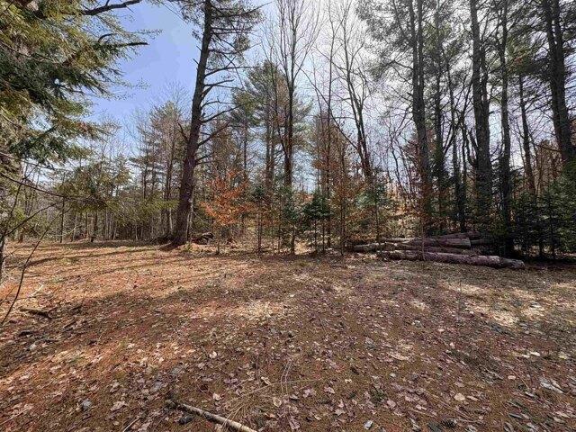 land Whitingham VT DLS102443935