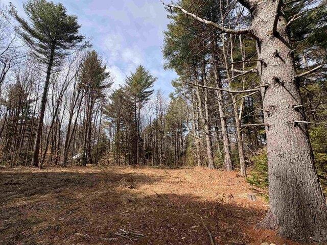 land Whitingham VT ES104295841