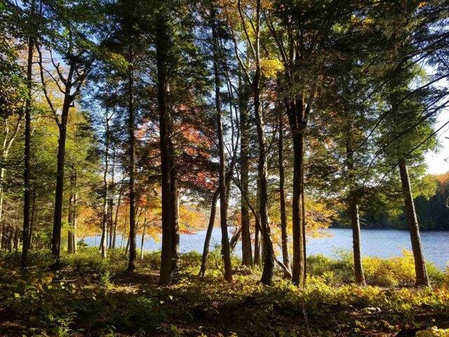 land Whitingham VT ES105127766