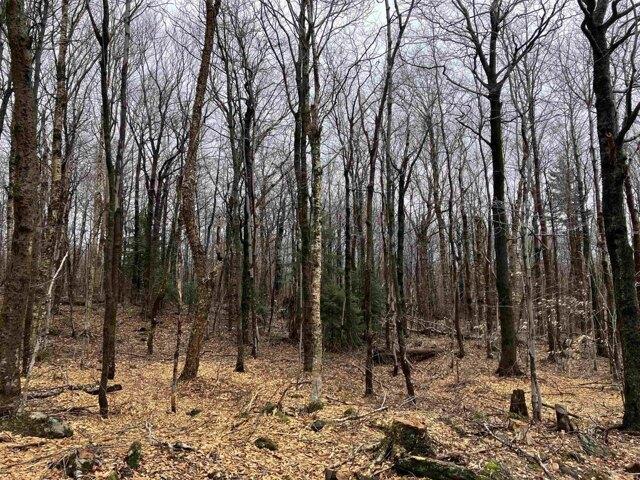 land Wilmington VT DS102444500