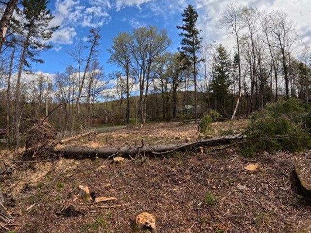 land Wilmington VT DS102528744