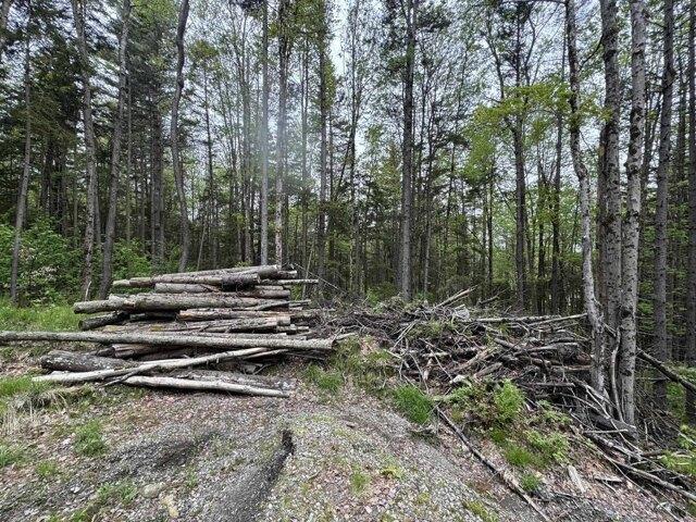 land Wilmington VT DS102030017