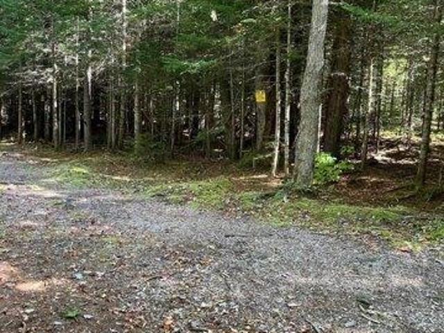land Wilmington VT DS102062894