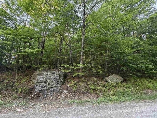 land Wilmington VT DS103437765