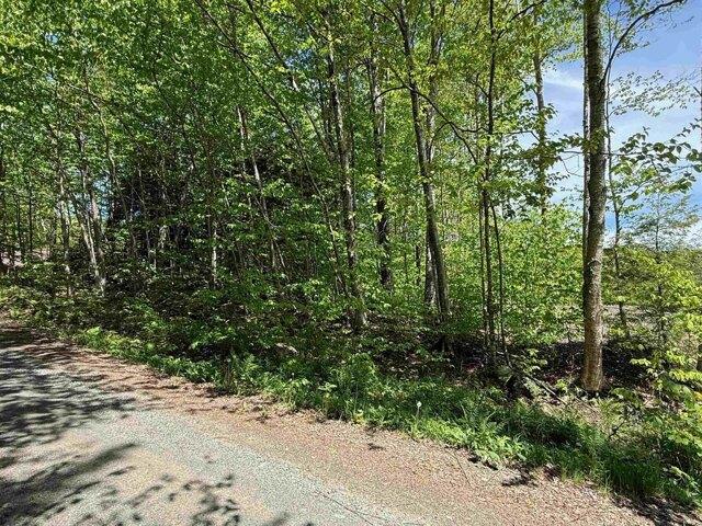 land Wilmington VT DS103969163