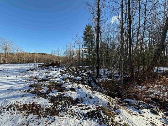 land Wilmington VT DS103069600