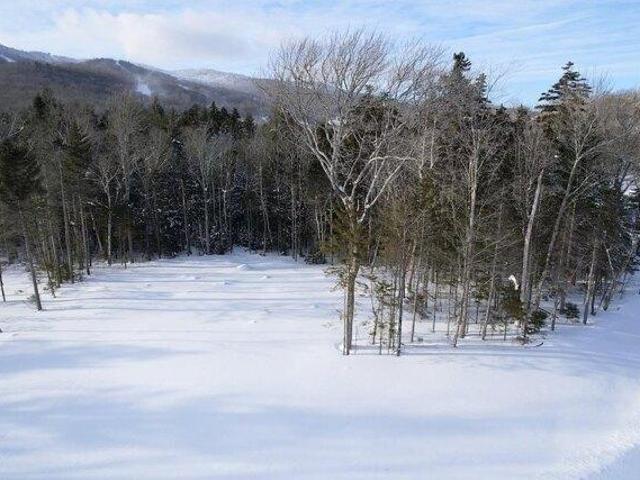 land Wilmington VT ES103102481