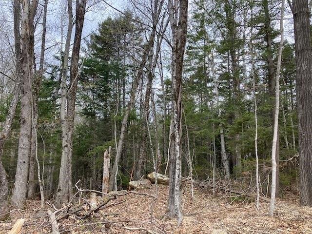 land Wilmington VT ES104330260