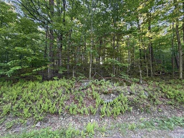 land Wilmington VT ES105117546