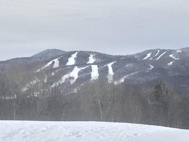 land Wilmington VT ES105193349
