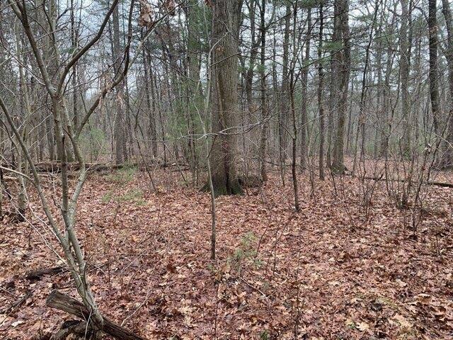land Wilbraham MA DLS101707289