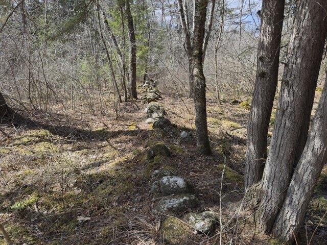 land Williamsburg MA DLS102028009