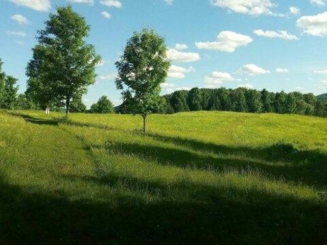 land Williamstown VT DS104406054